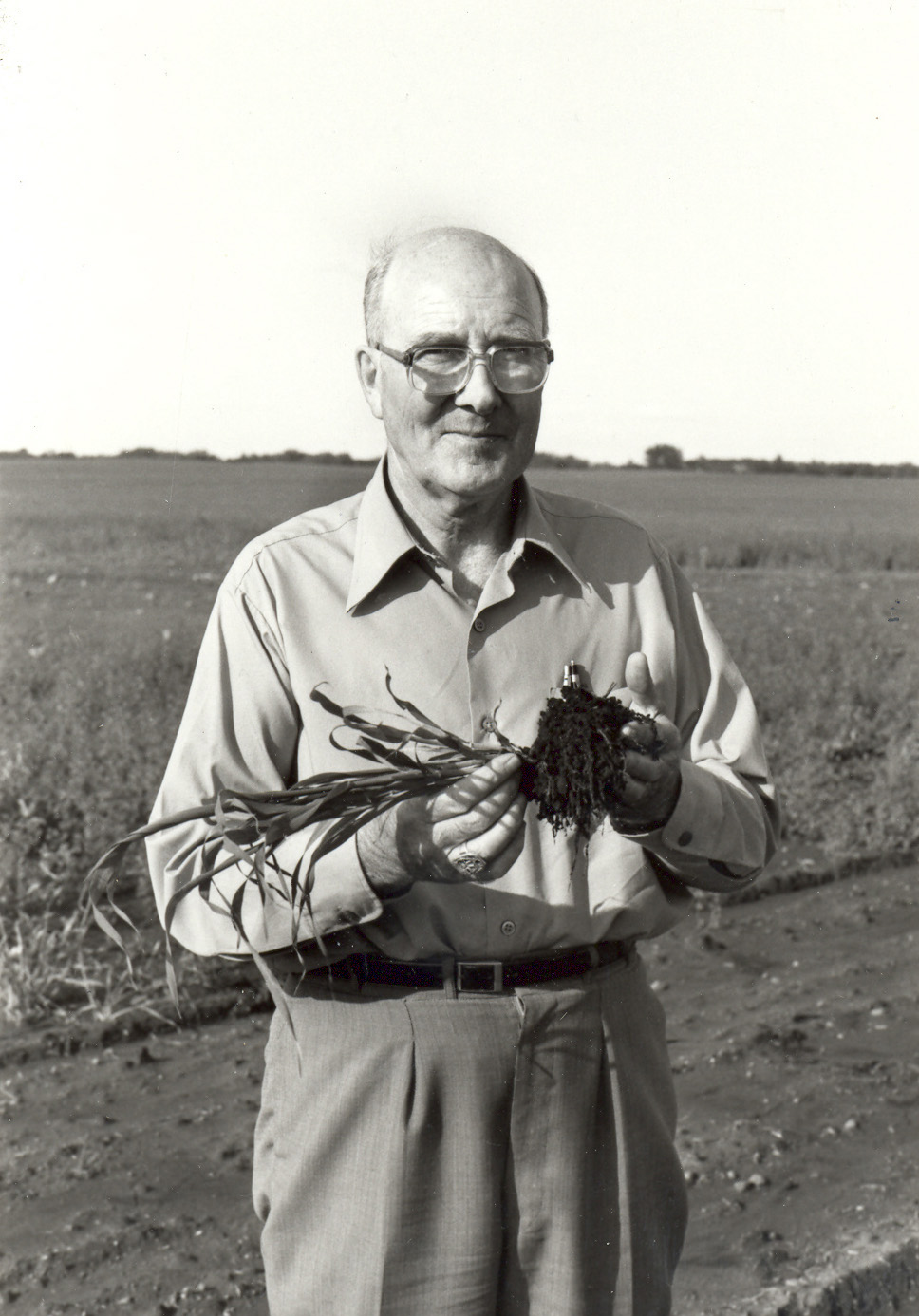 Dr. Fred Bentley - The Breton Plots