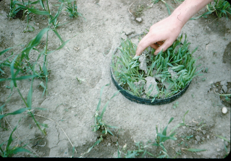 Research Discoveries - The Breton Plots